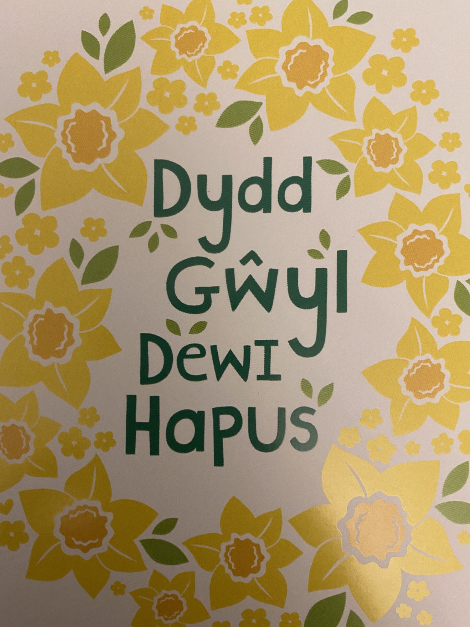 Happy St David s Day Week 9 2022 It s Not Easy Being Greedy Happy St David s Day Week 9 2022 It s Not Easy Being Greedy